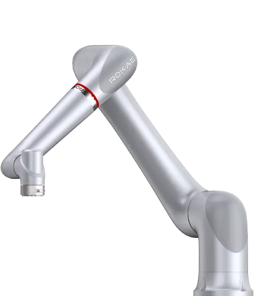 Palletizing Cobots with 5 Axis | ZTEC